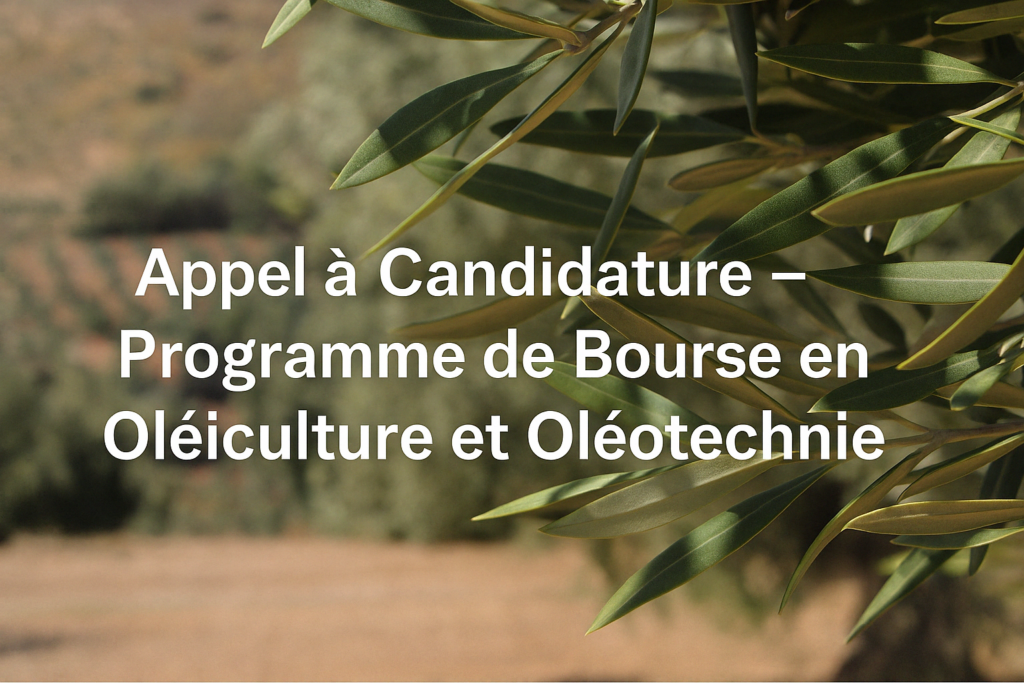 Call for Applications – Scholarship Program in Olive Growing and Olive ...